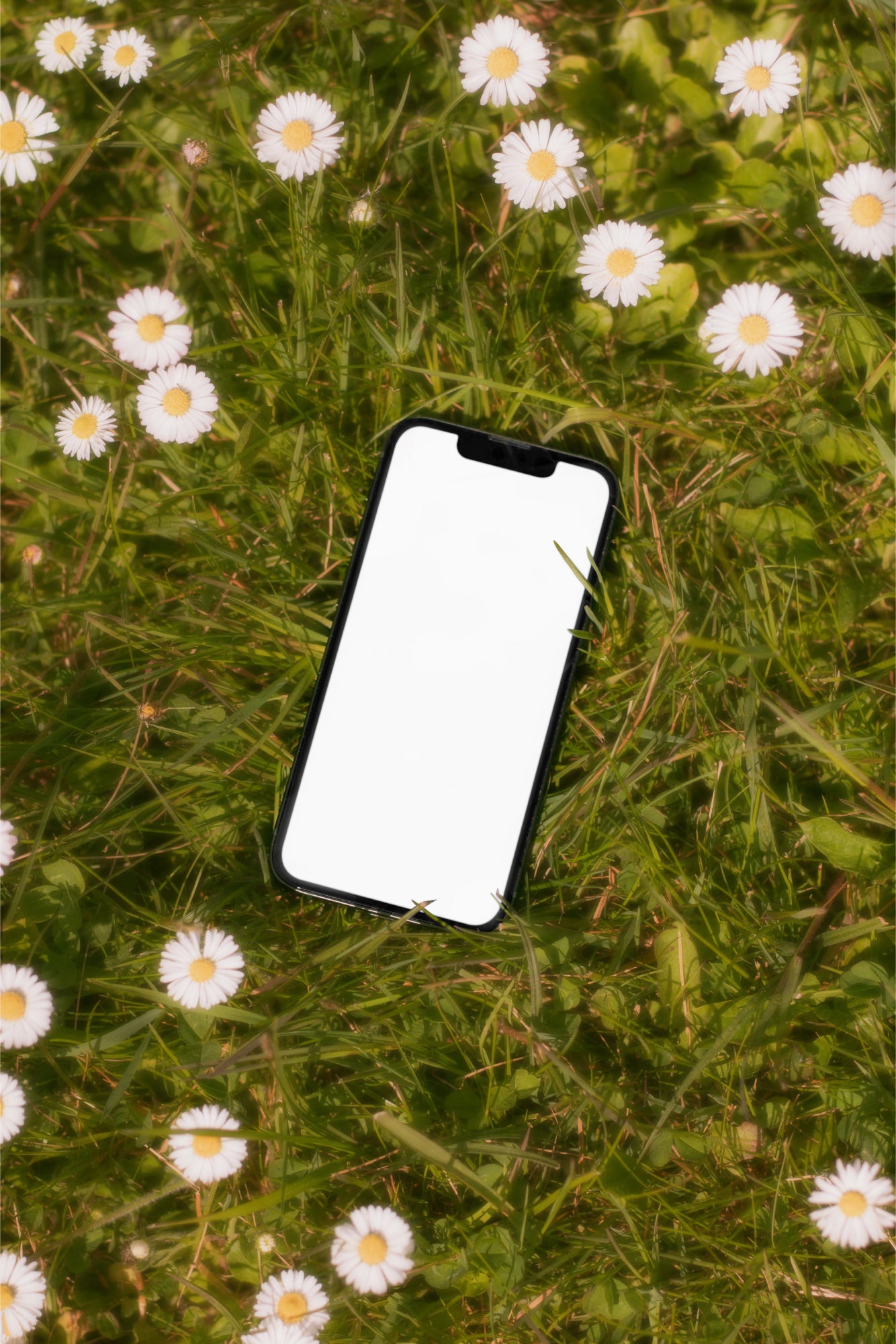 Dreamy Spring – Mockup Republic