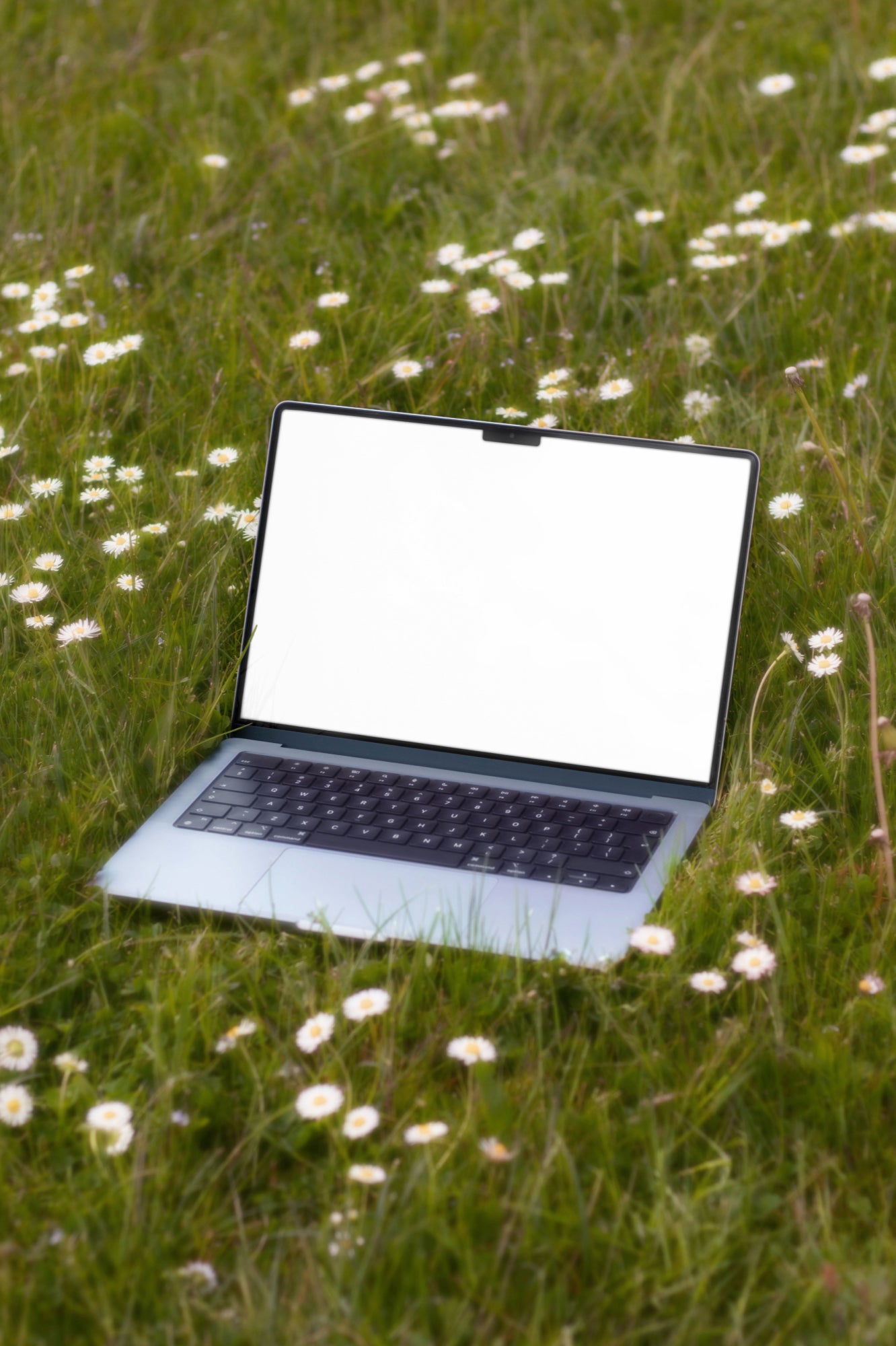 Dreamy Spring – Mockup Republic