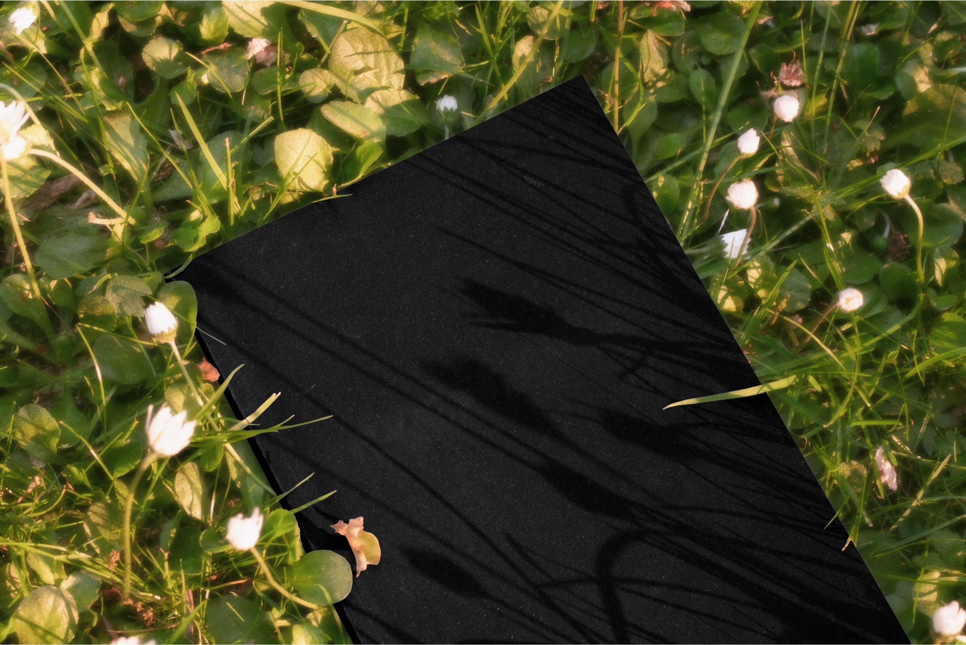 Dreamy Spring – Page 2 – Mockup Republic